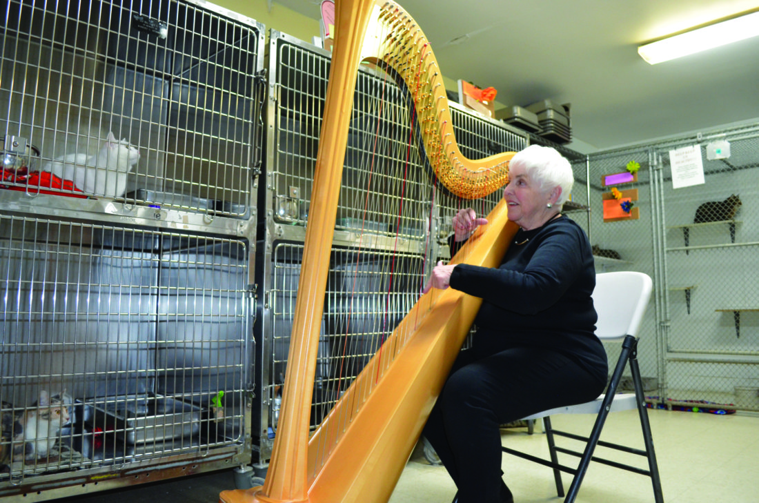 Woman provides soothing harp music to pets at SPCA | News, Sports, Jobs ...